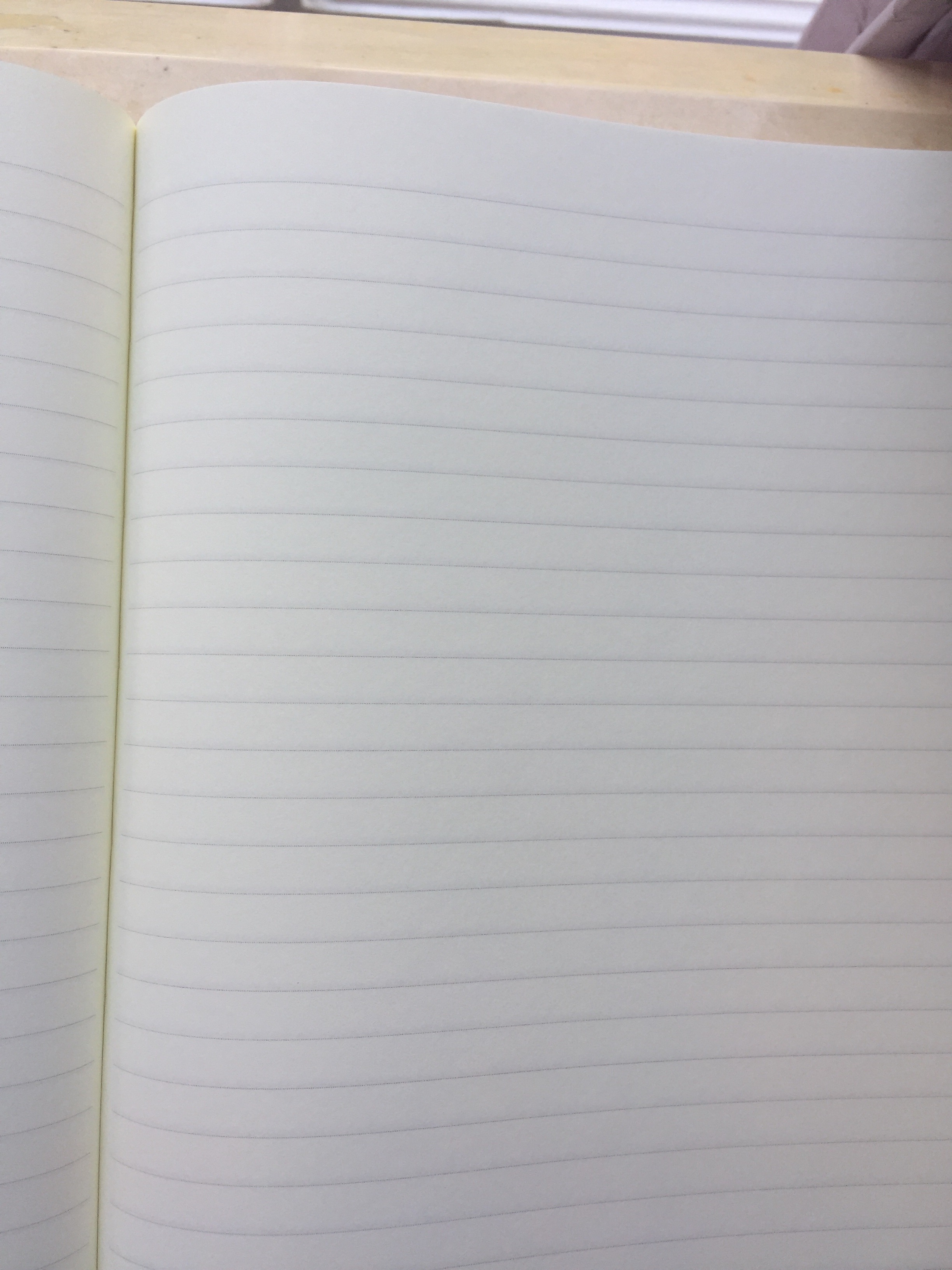 What Type of Page Ruling Should You Use? – Notebook Joy