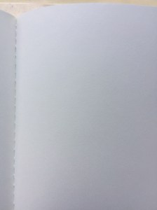 What Type of Page Ruling Should You Use? – Notebook Joy